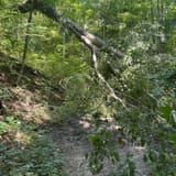 Patton Cave via Grubb Ridge and Hayes Trail, Indiana - 766 Reviews, Map ...