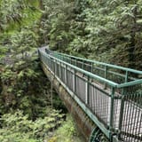 Capilano Canyon and Upper Capilano Pacific Trail Loop, British Columbia ...