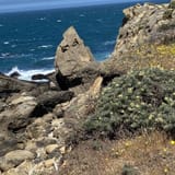 Salt Point Trail to Stump Beach, California - 755 Reviews, Map | AllTrails