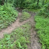 Skippack Creek Loop Trail, Pennsylvania - 4,003 Reviews, Map | AllTrails