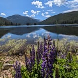 Monarch Lake Loop, Colorado - 2,519 Reviews, Map | AllTrails