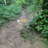 Skippack Creek Loop Trail, Pennsylvania - 4,003 Reviews, Map | AllTrails