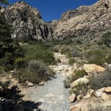 Ice Box Canyon Trail, Nevada - 3,295 Reviews, Map | AllTrails