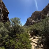 Ice Box Canyon Trail, Nevada - 3,295 Reviews, Map | AllTrails