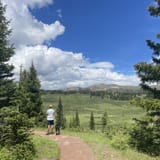 Shrine Ridge Trail, Colorado - 3,221 Reviews, Map | AllTrails