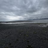 Tonsina Creek Trail, Alaska - 1,513 Reviews, Map | AllTrails