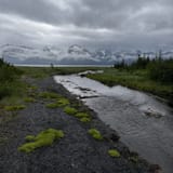 Tonsina Creek Trail, Alaska - 1,542 Reviews, Map | AllTrails