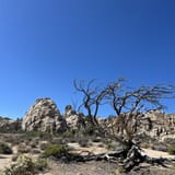 Hidden Valley, California - 6,047 Reviews, Map | AllTrails