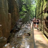 The Flume Gorge Trail, New Hampshire - 4,494 Reviews, Map | AllTrails
