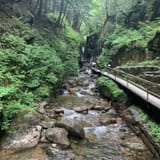 The Flume Gorge Trail, New Hampshire - 4,494 Reviews, Map | AllTrails