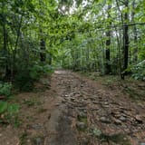Saco River Trail, New Hampshire - 570 Reviews, Map | AllTrails