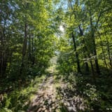 Saco River Trail, New Hampshire - 570 Reviews, Map | AllTrails
