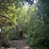 Inverhuron Provincial Park, Ontario, Canada - 453 Reviews, Map | AllTrails