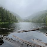 Talapus Lake Trail, Washington - 2,070 Reviews, Map | AllTrails