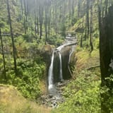 Oneonta Trail, Oregon - 724 Reviews, Map | AllTrails