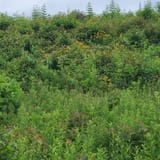 Salt Run, Ohio - 1,515 Reviews, Map | AllTrails