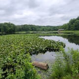 Salt Run, Ohio - 1,515 Reviews, Map | AllTrails