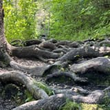 East Ridge Trail, Minnesota - 354 Reviews, Map | AllTrails