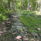 East Ridge Trail, Minnesota - 354 Reviews, Map | AllTrails