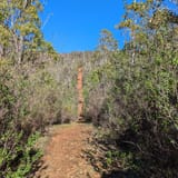 Wungong Gorge Walk, Western Australia, Australia - 686 Reviews, Map ...