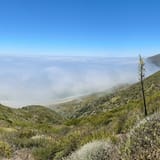 Ray Miller Backbone Trail, California - 2,324 Reviews, Map | AllTrails