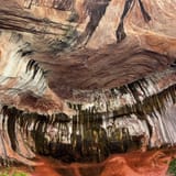 Middle Fork Taylor Creek Trail, Utah - 3,510 Reviews, Map | AllTrails