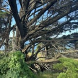 Chimney Rock Trail, California - 996 Reviews, Map | AllTrails