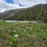 Timberline Lake Trail, Colorado - 1,587 Reviews, Map | AllTrails