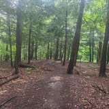 Sprague Brook Park Trail, New York - 1,407 Reviews, Map | AllTrails