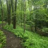 Sprague Brook Park Trail, New York - 1,407 Reviews, Map | AllTrails