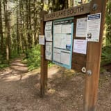 Baker Lake Trail, Washington - 1,077 Reviews, Map | AllTrails