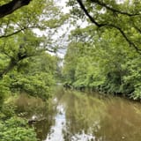 Southern Loop via Western Ridge Trail, Rock Creek, Valley Trail ...