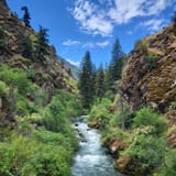 Rapid River Trail, Idaho - 260 Reviews, Map | AllTrails