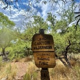 Parsons Trail, Arizona - 745 Reviews, Map | AllTrails