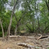 Parsons Trail, Arizona - 745 Reviews, Map | AllTrails