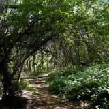 Parsons Trail, Arizona - 745 Reviews, Map | AllTrails