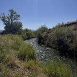Tom Cooke and Steamboat Ditch Loop, Nevada - 1,287 Reviews, Map | AllTrails