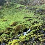 Watson Falls, Oregon - 1,271 Reviews, Map | AllTrails