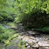 Raven Run Red Trail, Kentucky - 1,788 Reviews, Map | AllTrails