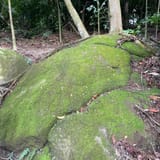 Kiara Waterfall via Kasawari, Kuala Lumpur, Malaysia - 105 Reviews, Map ...