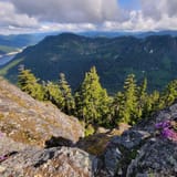 Mount Catherine (#1348), Washington - 868 Reviews, Map | AllTrails