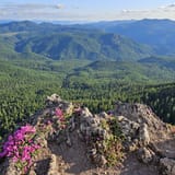 Iron Mountain Trail, Oregon - 659 Reviews, Map | AllTrails