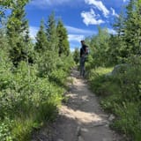String Lake Trail, Wyoming - 2,246 Reviews, Map | AllTrails