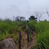 Broga Hill Peak 3 via MPKJ Trail, Selangor, Malaysia - 398 Reviews, Map ...