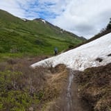 Resurrection Pass Trail, Alaska - 250 Reviews, Map | AllTrails