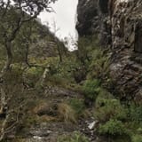 Stirling Range Ridge Walk, Western Australia, Australia - 234 Reviews ...