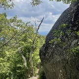 Sharp Top Trail, Virginia - 3,034 Reviews, Map | AllTrails