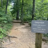 Sharp Top Trail, Virginia - 3,034 Reviews, Map | AllTrails