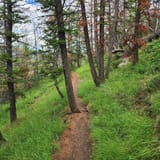 Oak Flat Loop Trail, Colorado - 1,147 Reviews, Map | AllTrails