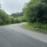 Noland Divide Trail, North Carolina - 126 Reviews, Map | AllTrails